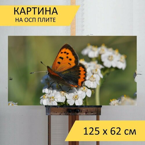 Картина на ОСП 125х62 см. "Медь, бабочка, бабочки" горизонтальная, для интерьера, с креплениями