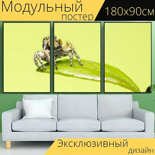 Модульный постер "Зебра, паук, прыжки" 180 x 90 см. для интерьера