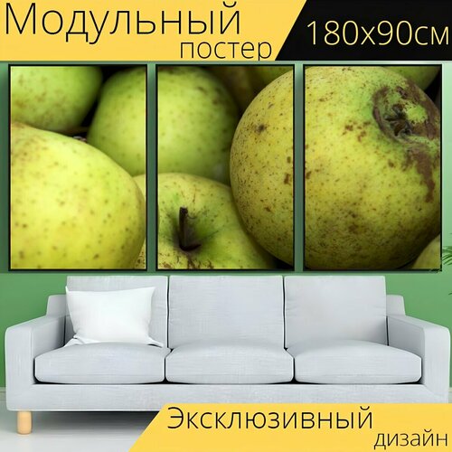Модульный постер "Яблоки, фрукты, эко" 180 x 90 см. для интерьера
