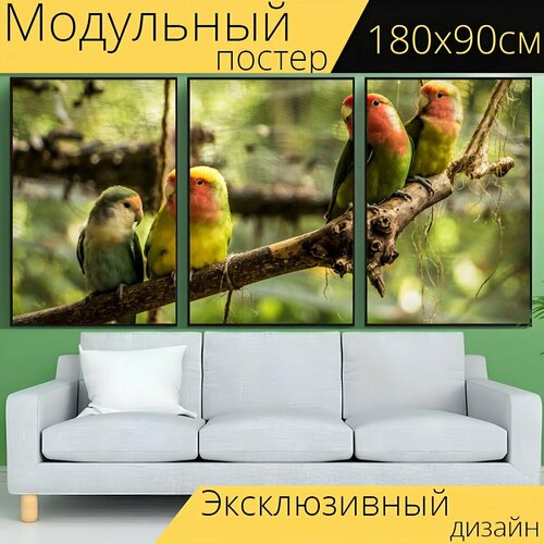 Модульный постер "Птица, дикая природа, животное" 180 x 90 см. для интерьера