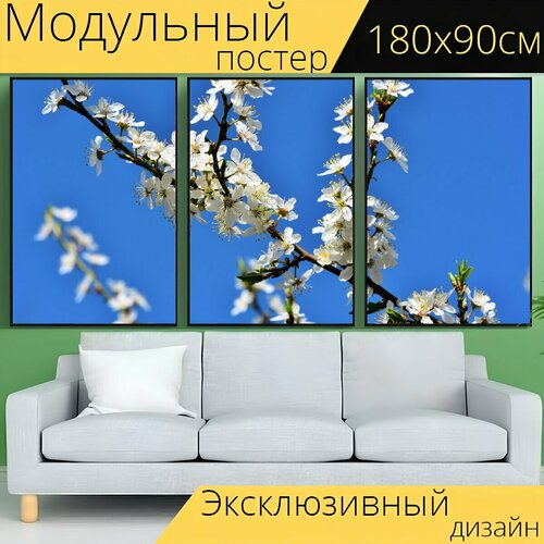 Модульный постер "Цветок сливы, цвести, сливовое дерево" 180 x 90 см. для интерьера