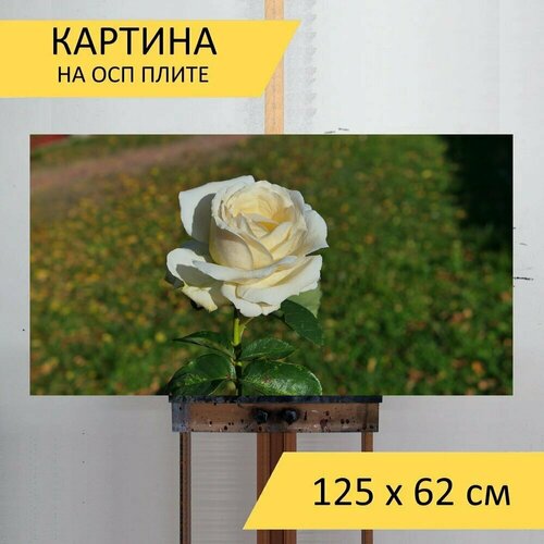 Картина на ОСП 125х62 см. "Роуз, белый, цветок" горизонтальная, для интерьера, с креплениями
