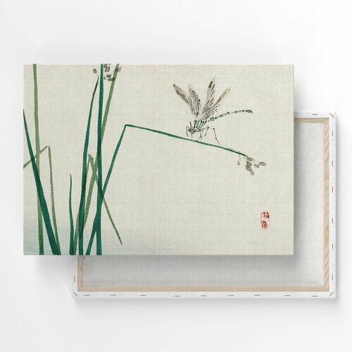 Картина на холсте, репродукция / Байрэй, Коно - Dragonfly on Bulrush leaf / Размер 60 x 80 см