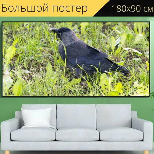 Большой постер "Птица, ворона, трава" 180 x 90 см. для интерьера