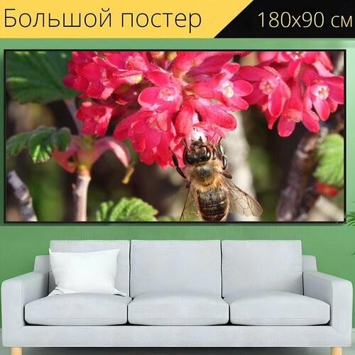 Большой постер "Пчела, насекомое, жук" 180 x 90 см. для интерьера