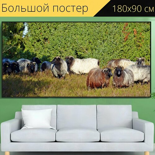 Большой постер "Стадо овец, стадо, язычник" 180 x 90 см. для интерьера