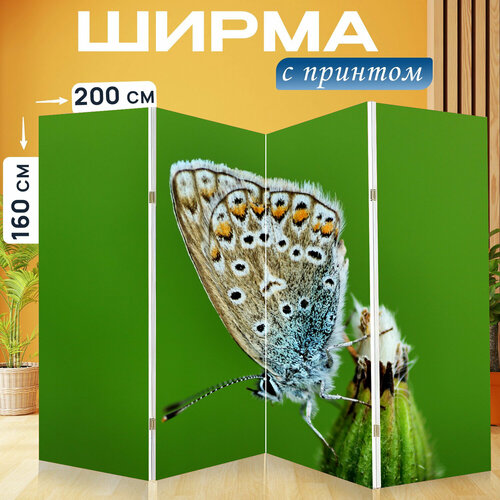 Ширма перегородка с принтом "Голубоватый, бабочка, луг" на холсте - 200x160 см. для зонирования, раскладная