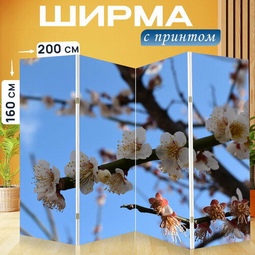 Ширма перегородка с принтом "Япония, вишни в цвету, сакура" на холсте - 200x160 см. для зонирования, раскладная