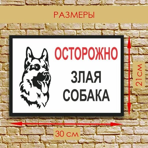Информационная табличка из ПВХ 3мм "Осторожно злая собака", 210х300 мм