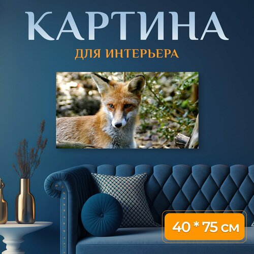 Картина на холсте "Животное, лиса, шерсть" на подрамнике 75х40 см. для интерьера