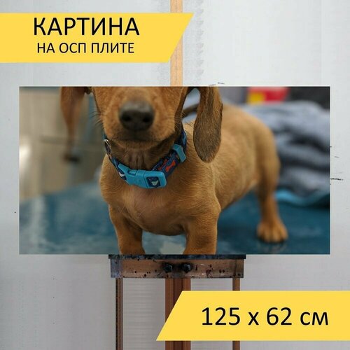 Картина на ОСП 125х62 см. "Собака, щенок, ветеринарная клиника" горизонтальная, для интерьера, с креплениями