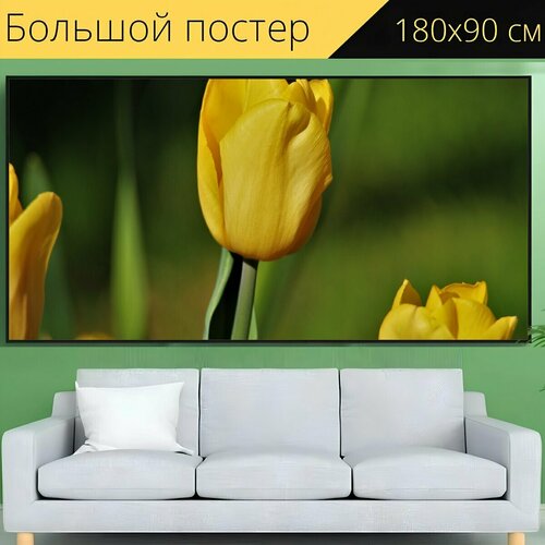 Большой постер "Тюльпан, сад тюльпан, цветок" 180 x 90 см. для интерьера