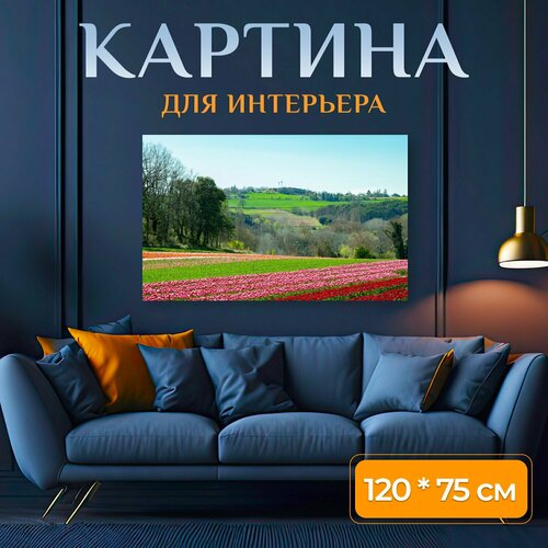 Картина на холсте "Поля, растения, тюльпаны" на подрамнике 120х75 см. для интерьера