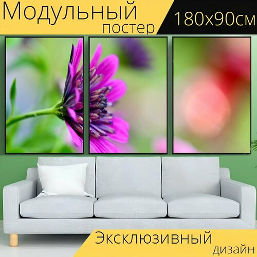 Модульный постер "Цветок, цвести, цветочная сила" 180 x 90 см. для интерьера