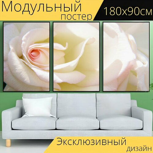 Модульный постер "Роза, цветок, любовь" 180 x 90 см. для интерьера