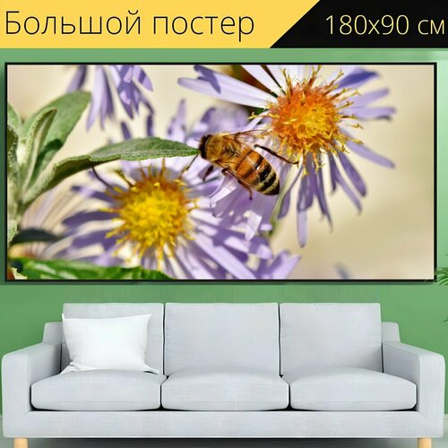 Большой постер "Пчела, насекомое, астра" 180 x 90 см. для интерьера