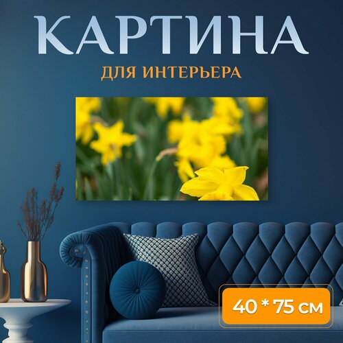 Картина на холсте "Цветок, весна, природа" на подрамнике 75х40 см. для интерьера
