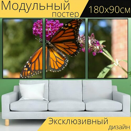 Модульный постер "Бабочка, монарх, куст" 180 x 90 см. для интерьера