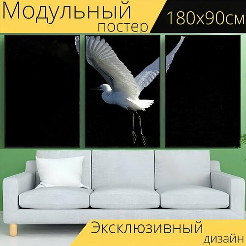 Модульный постер "Цапля, птица, летать" 180 x 90 см. для интерьера