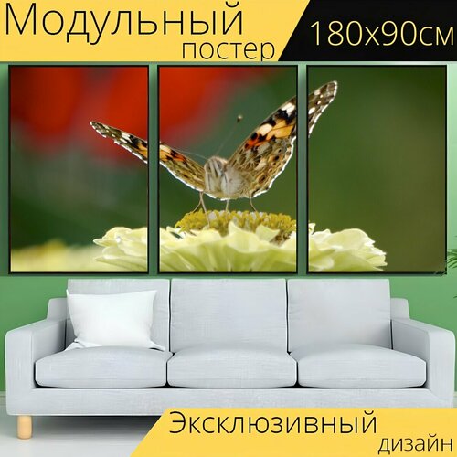 Модульный постер "Природа, бабочка, макрос" 180 x 90 см. для интерьера
