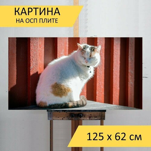 Картина на ОСП 125х62 см. "Кошка, котенок, животное" горизонтальная, для интерьера, с креплениями