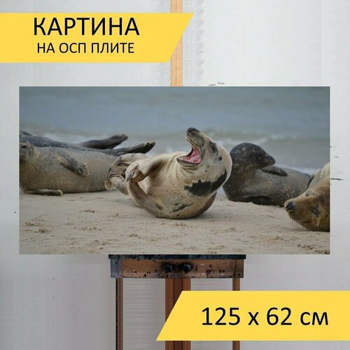 Картина на ОСП 125х62 см. "Тюлень, роб, море" горизонтальная, для интерьера, с креплениями