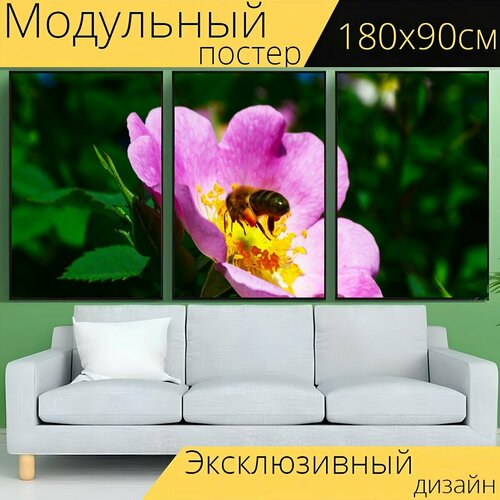 Модульный постер "Пчела, цветок, шиповник" 180 x 90 см. для интерьера