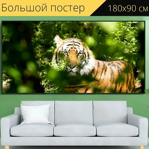 Большой постер "Тигр, природа, зоопарк" 180 x 90 см. для интерьера