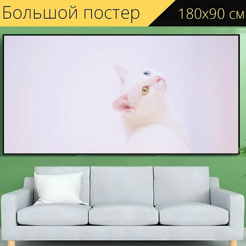 Большой постер "Кошка, белый, ангора" 180 x 90 см. для интерьера