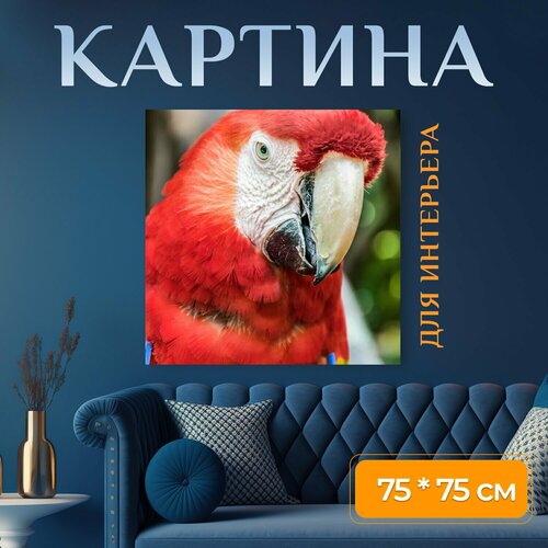 Картина на холсте "Попугай, птица, ара" на подрамнике 75х75 см. для интерьера