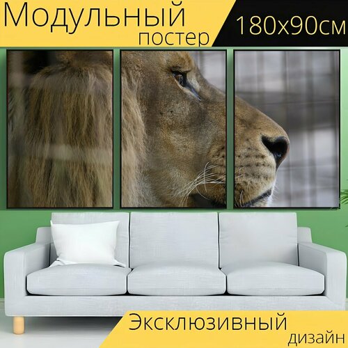 Модульный постер "Лев, большой фелиде кошек, хищник" 180 x 90 см. для интерьера