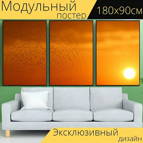 Модульный постер "Паутина, роса, восход солнца" 180 x 90 см. для интерьера