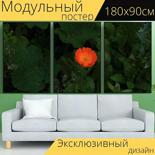 Модульный постер "Зеленый, апельсин, природа" 180 x 90 см. для интерьера