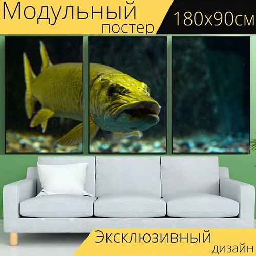Модульный постер "Рыбы, желтый, зеленый" 180 x 90 см. для интерьера
