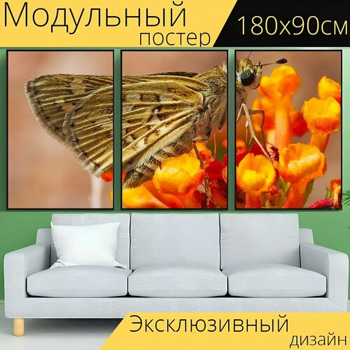 Модульный постер "Моль, насекомое, бабочка" 180 x 90 см. для интерьера