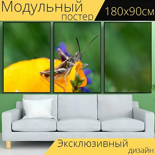 Модульный постер "Коричневый кузнечик, кузнечик, короткое щупальце насекомое" 180 x 90 см. для интерьера