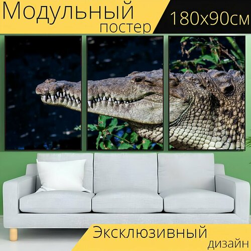 Модульный постер "Сальвадор, крокодил, животное" 180 x 90 см. для интерьера