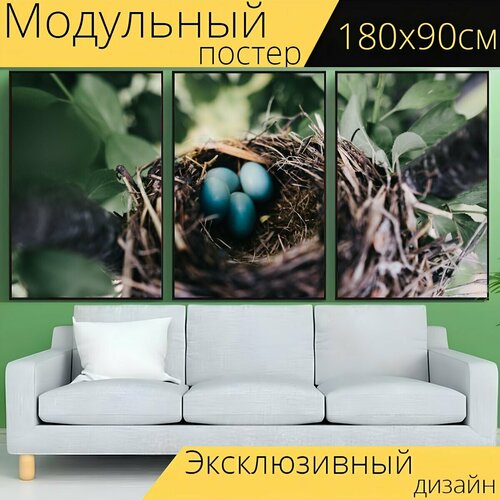 Модульный постер "Птица, гнездо, яйцо" 180 x 90 см. для интерьера