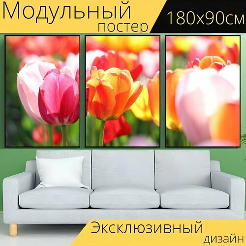 Модульный постер "Тюльпаны, красочный, весна" 180 x 90 см. для интерьера
