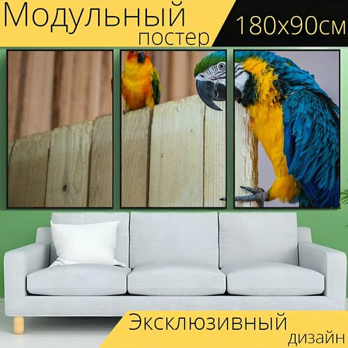 Модульный постер "Попугай, ара, птица" 180 x 90 см. для интерьера