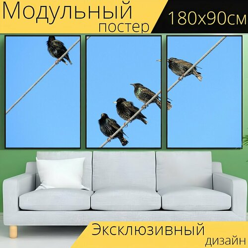 Модульный постер "Птицы, скворцы, стайка" 180 x 90 см. для интерьера