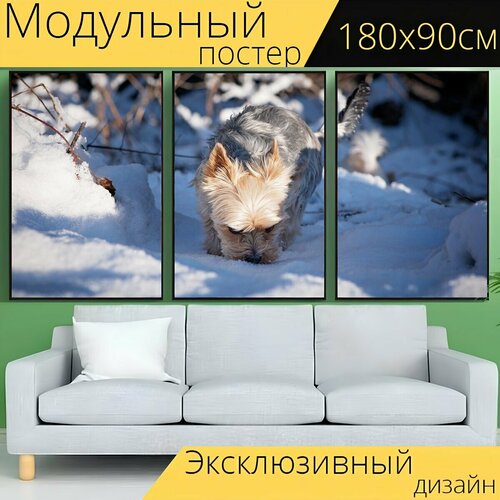Модульный постер "Собака, зима, снег" 180 x 90 см. для интерьера