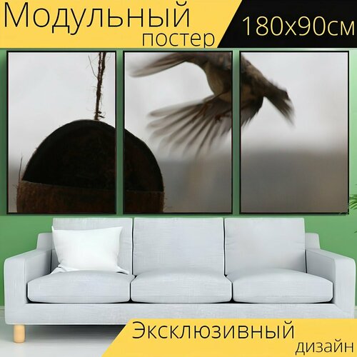 Модульный постер "Зимняя птица, птичьего полета, выезд" 180 x 90 см. для интерьера