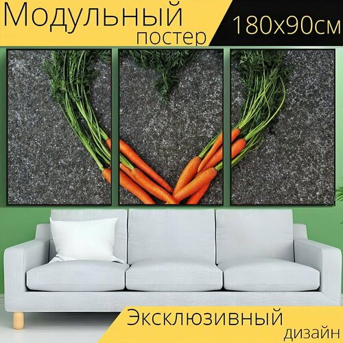 Модульный постер "Морковь, биография, свежий" 180 x 90 см. для интерьера