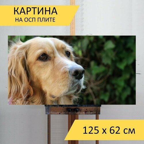 Картина на ОСП 125х62 см. "Собака, животное, домашний питомец" горизонтальная, для интерьера, с креплениями