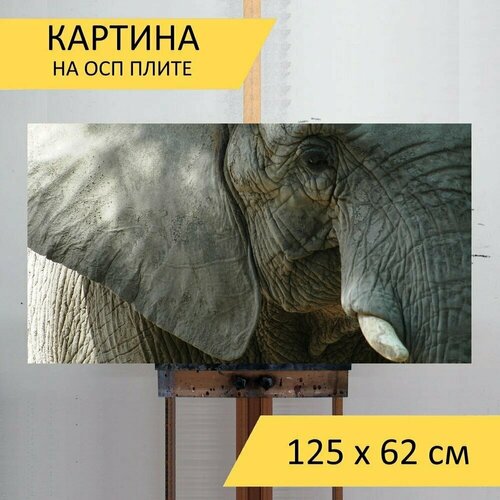 Картина на ОСП 125х62 см. "Слон, животное, африка" горизонтальная, для интерьера, с креплениями