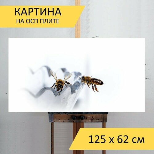 Картина на ОСП 125х62 см. "Пчела, пчелы, медовый" горизонтальная, для интерьера, с креплениями