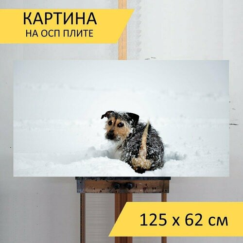 Картина на ОСП 125х62 см. "Собака, снег, снежное развлечение" горизонтальная, для интерьера, с креплениями