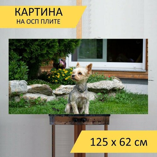 Картина на ОСП 125х62 см. "Собака, животное, домашнее животное" горизонтальная, для интерьера, с креплениями