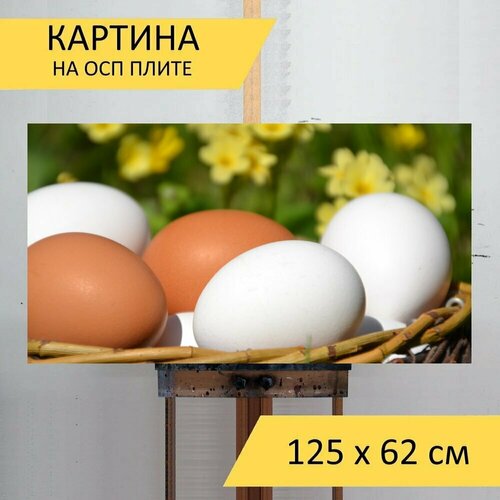 Картина на ОСП 125х62 см. "Яйцо, яйца, белый" горизонтальная, для интерьера, с креплениями